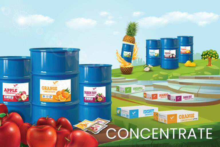 200kg TCVN Drum Orange Juice Concentrate - Thanh Cong Vina
