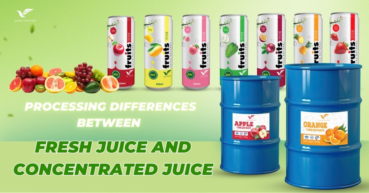 The Difference Between Fresh Fruit Juice and Concentrated Juice - Thanh ...