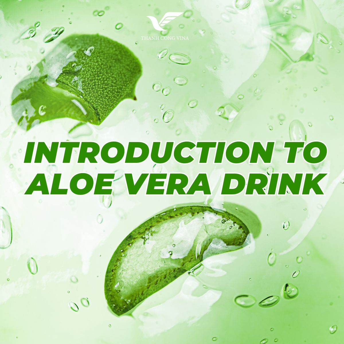 Fresh vs. Bottled Aloe Vera Drink: Which Is Healthier? - Thanh Cong Vina
