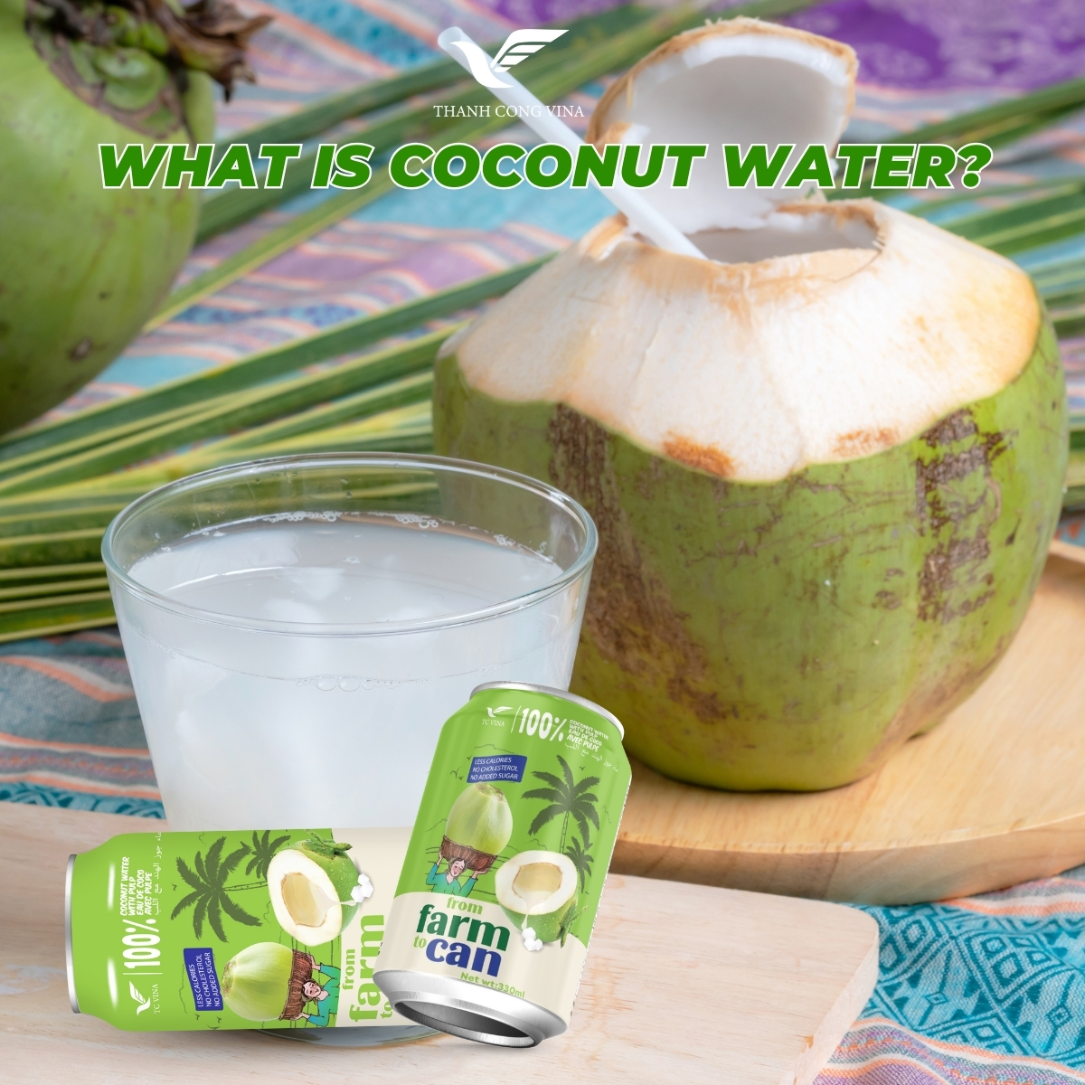 Coconut Water vs. Coconut Milk: Key Differences - Thanh Cong Vina