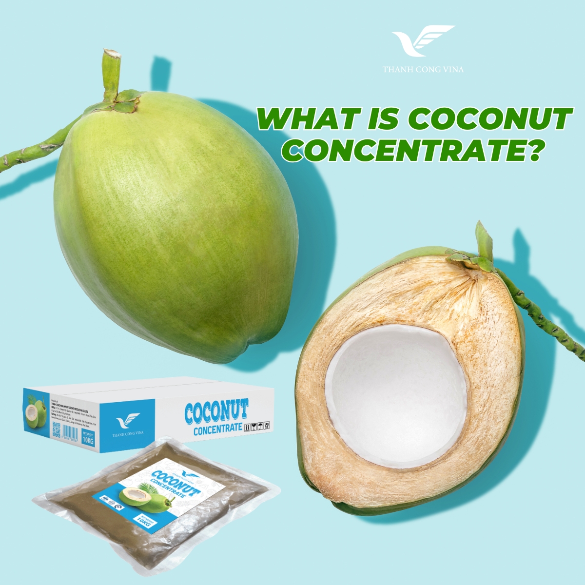 What Is Coconut Concentrate and How Is It Used? - Thanh Cong Vina