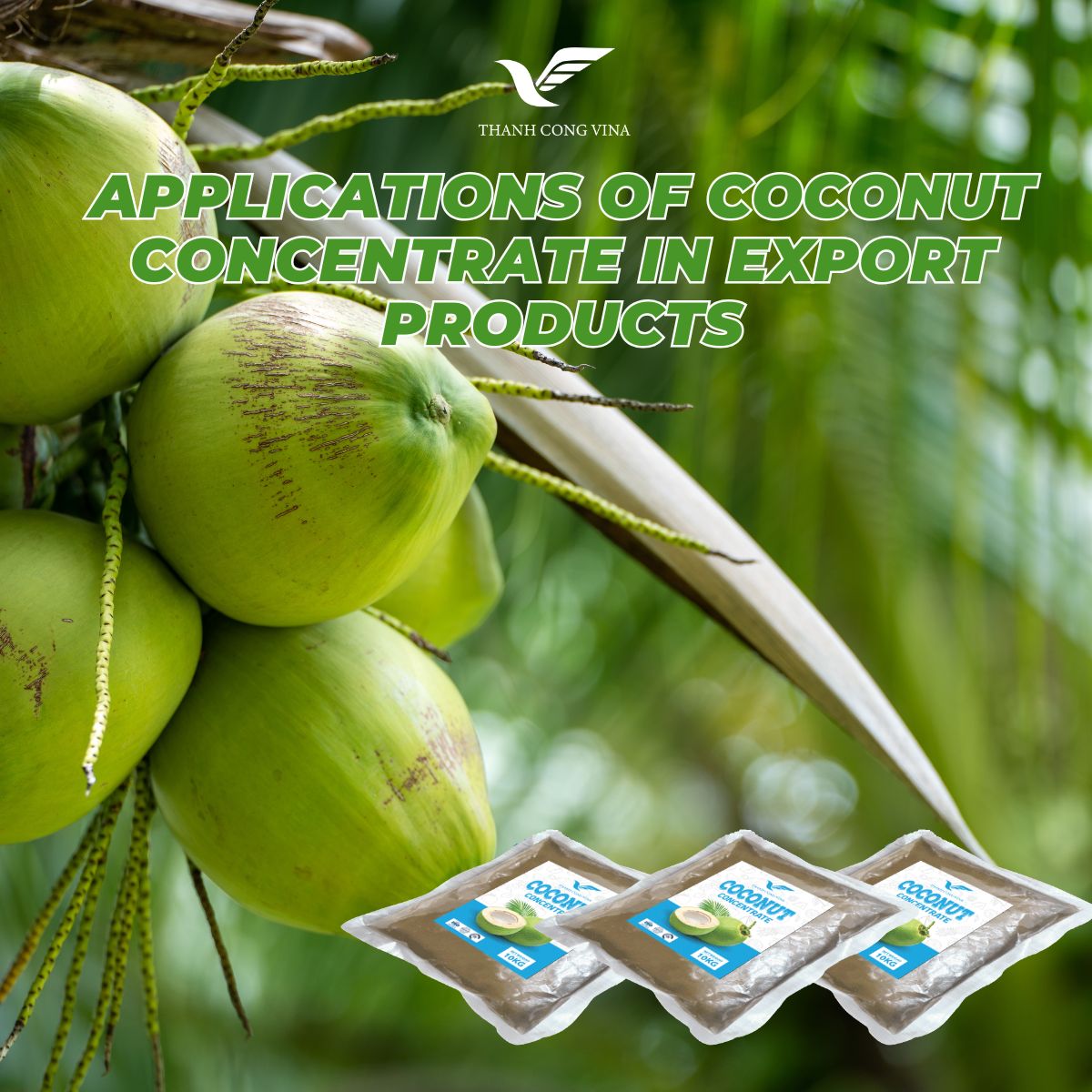 The Role of Coconut Concentrate in Export Products - Thanh Cong Vina