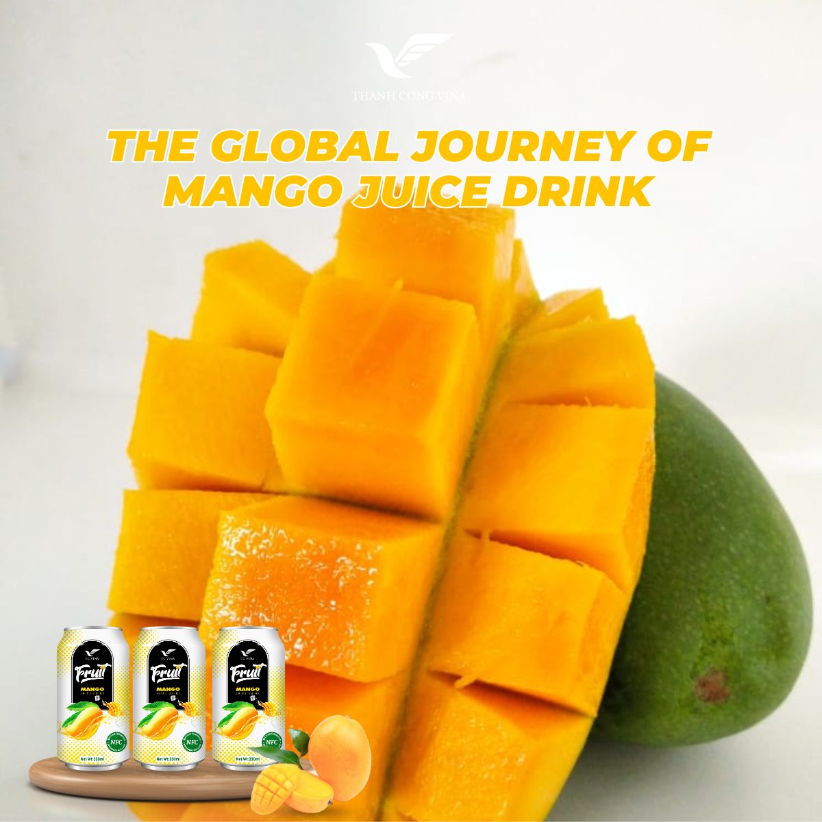 Why Mango Juice Drink Is a Global Favorite - Thanh Cong Vina