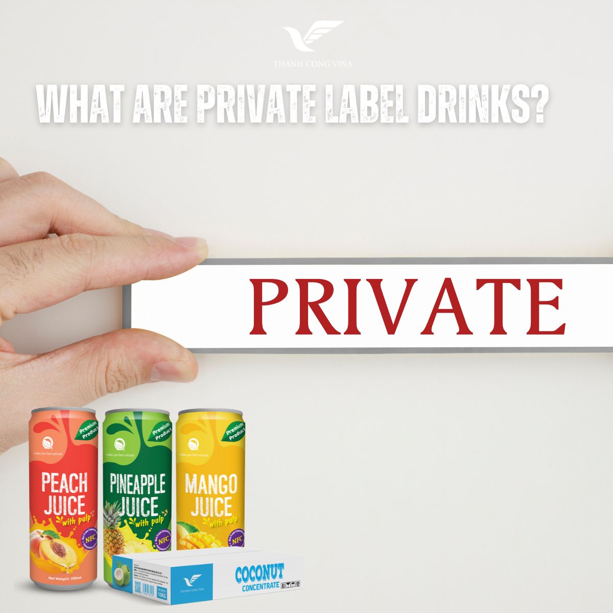 Private Label Drinks vs OEM Drinks: What’s the Difference? - Thanh Cong ...